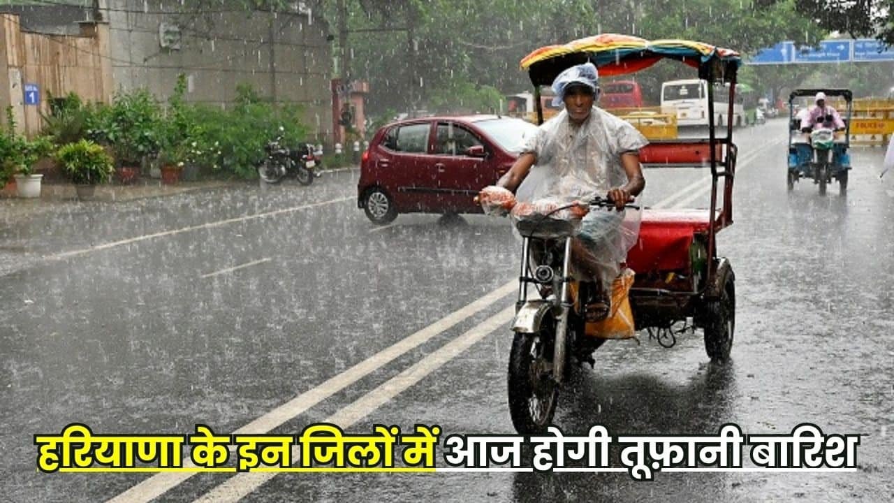 Haryana Weather: मौसम वैज्ञानिकों ने जारी किया अलर्ट! हरियाणा के इन ...