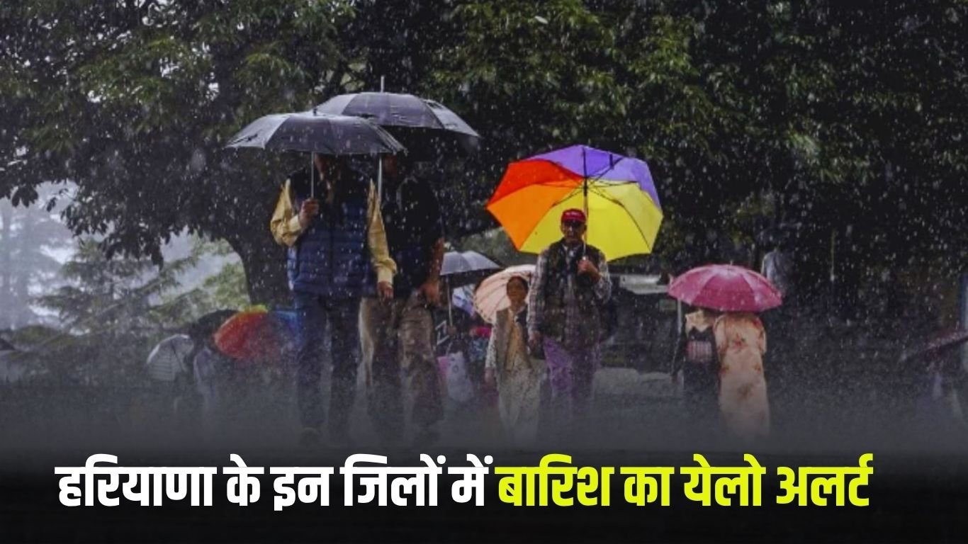 Haryana Weather Update: हरियाणा के इन जिलों में आज होगी झमाझम बारिश ...